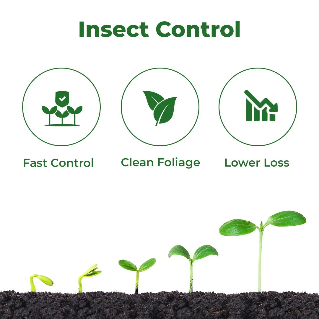 A1 Pride Insecticide | Buy Online