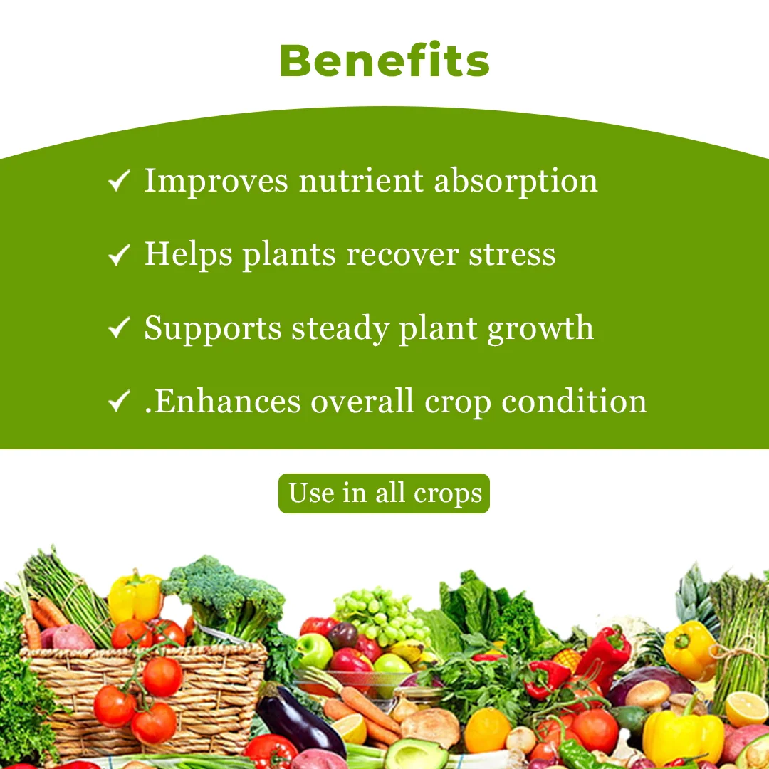 Jivagro Siapton 10 L Plant Bio-Stimulant | Buy Online