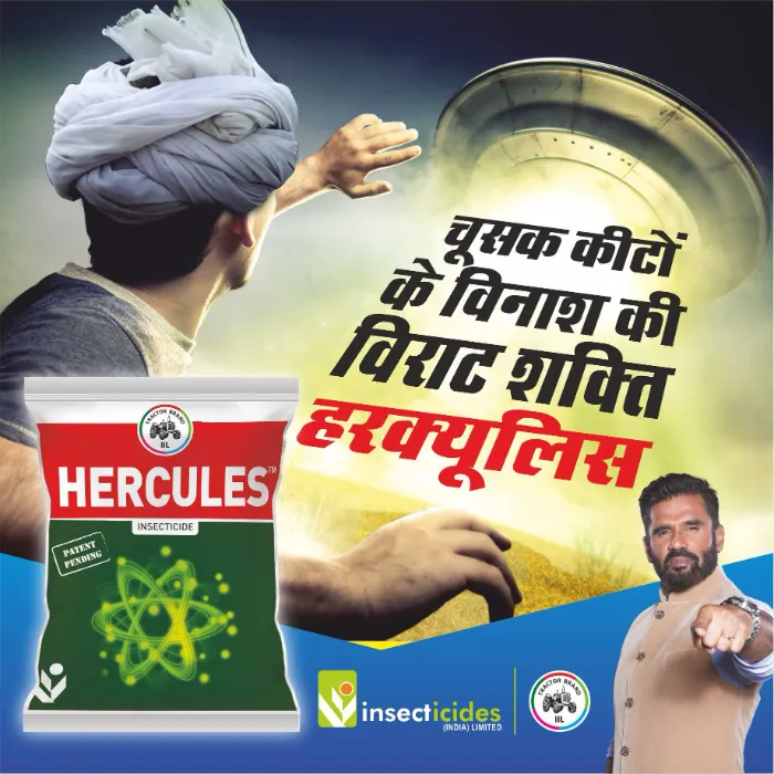 Iil Hercules Diafenthiuron 40.1% + Acetamiprid 3.9% Wp Insecticide