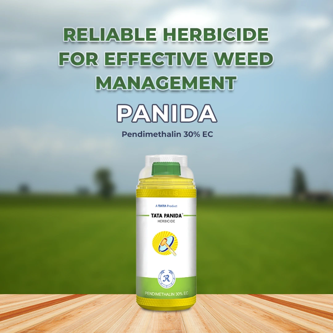 TATA Panida Herbicide (Pendimethalin 30% EC) | Buy Online