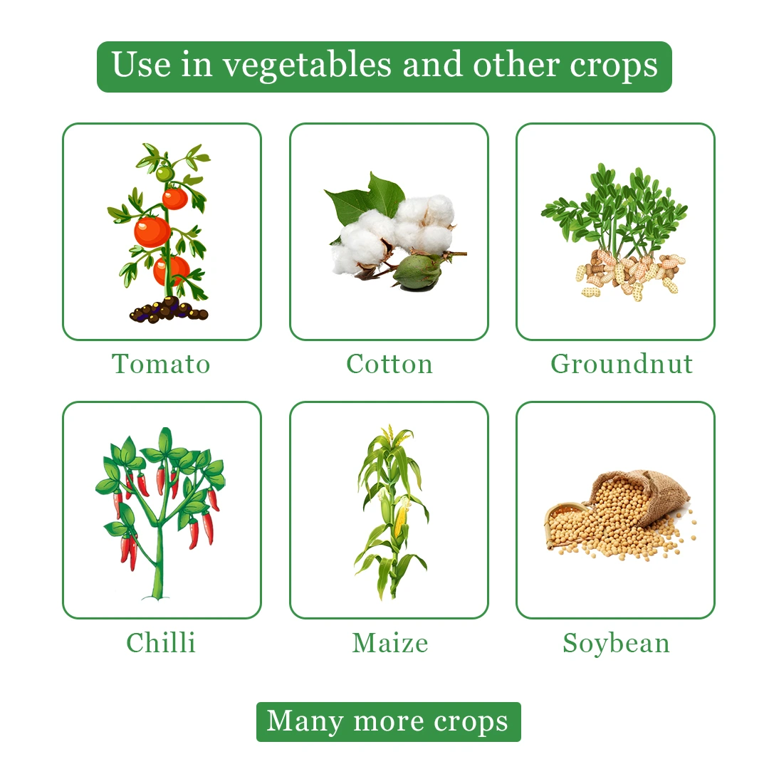 Ju-Thiola Insecticide | Buy Online