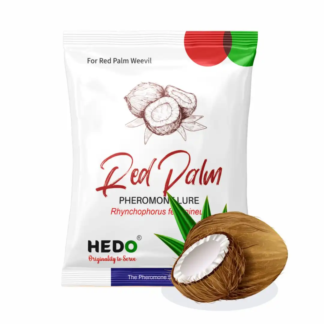 HEDO Red Palm Weevil Bucket Trap With Pheromone Lure