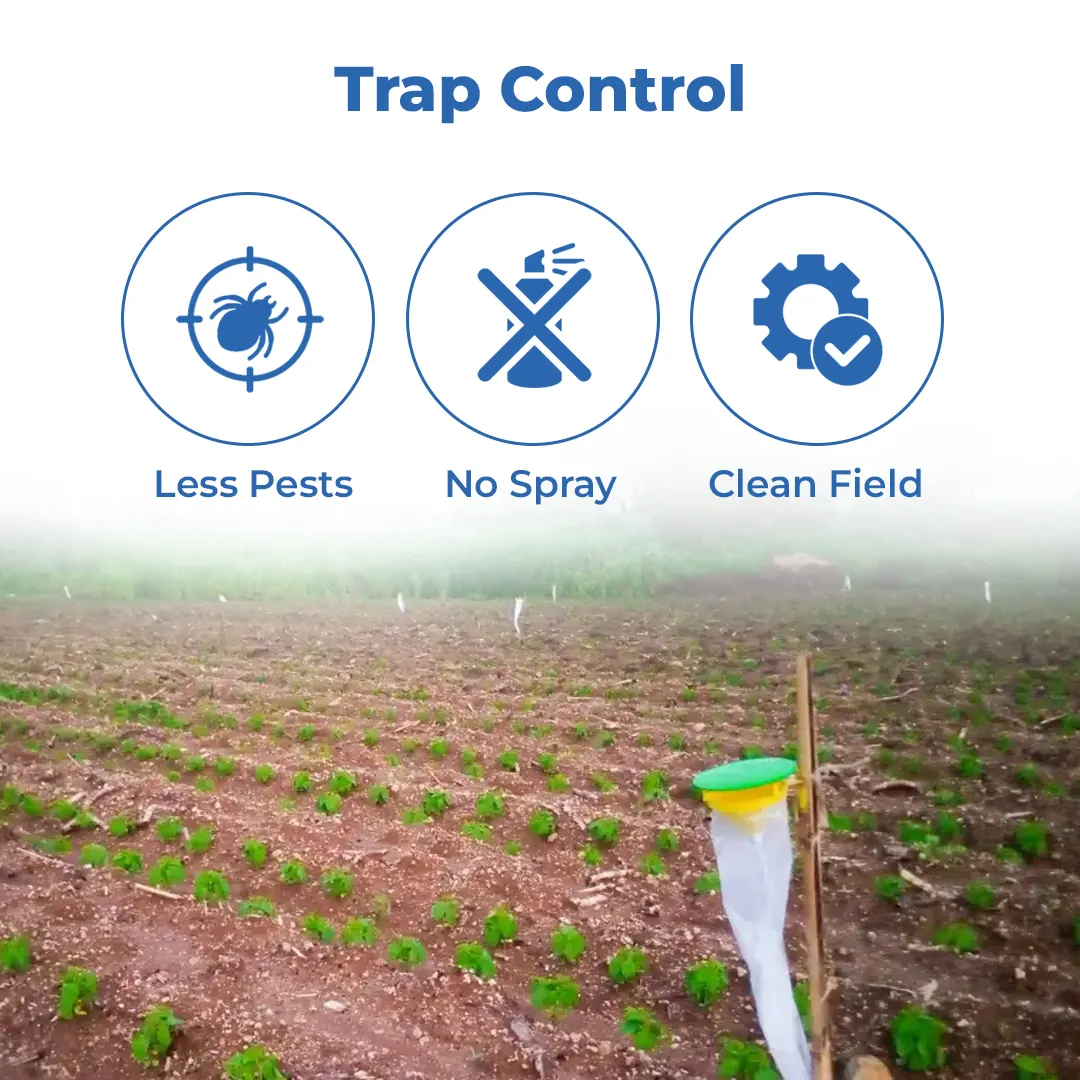Buy Funnel Trap With Spodo O Lure Online | AgriBegri