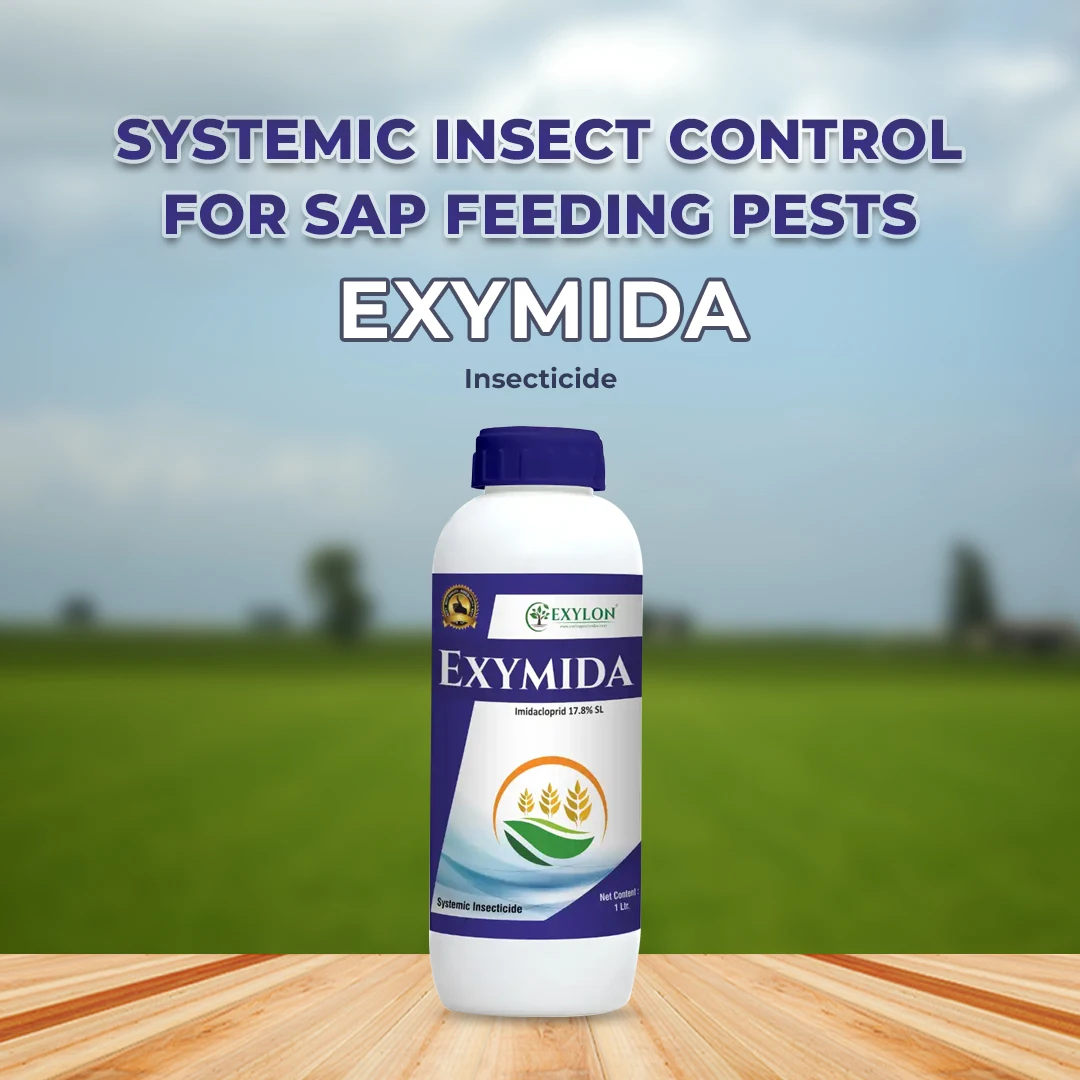 Exylon Exymida | Buy Online