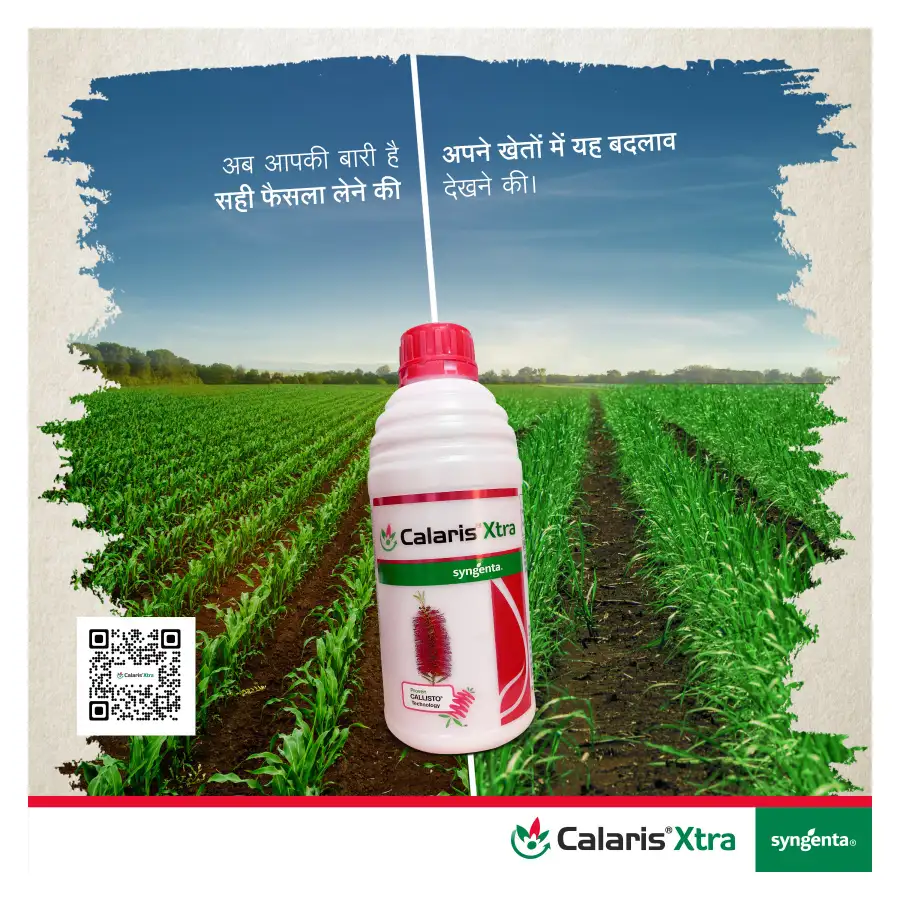 Syngenta Calaris Xtra Mesotrione 2.27% + Atrazine 22.7% SC Herbicide