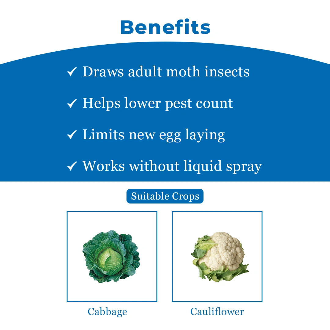 Buy Delta Pheromone Trap With DBM Lure for Diamondback Moth Online ...