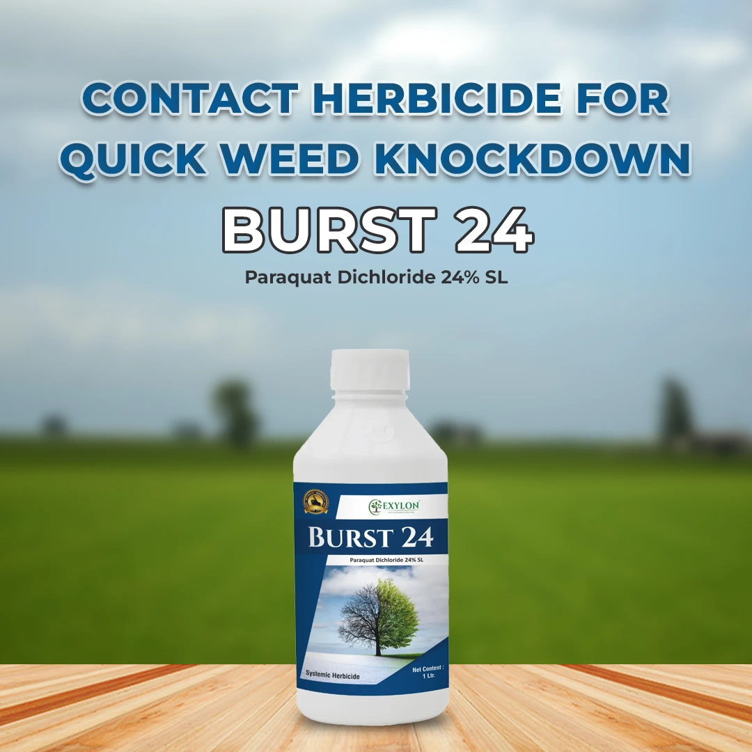 Exylon Burst 24 Herbicide (Paraquat Dichloride 24% SL)