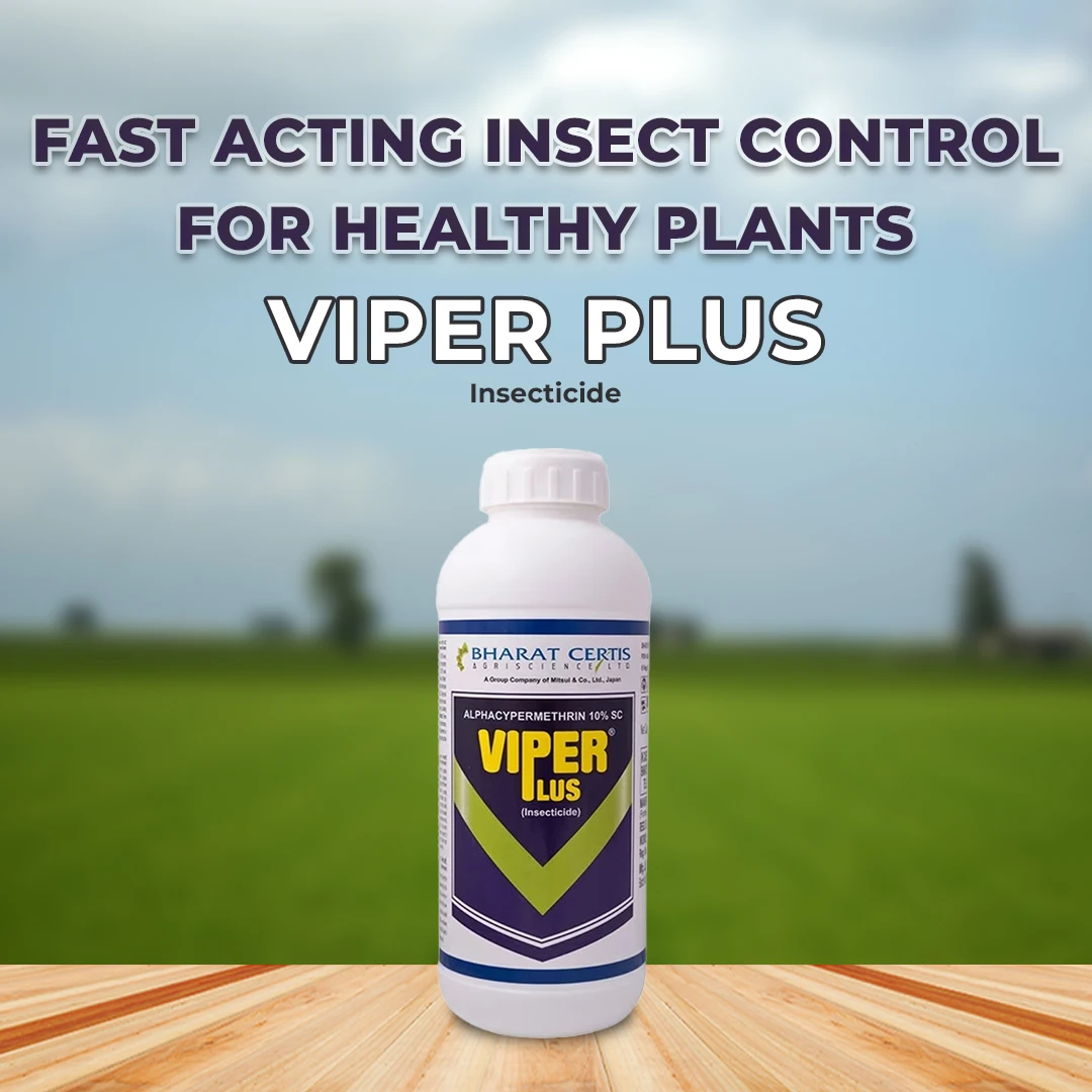 Viper Plus Insecticide | Buy Online