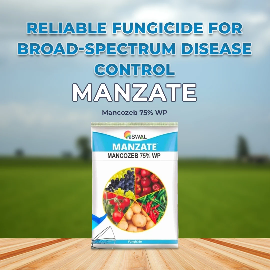 Swal Manzate Fungicide | Buy Online