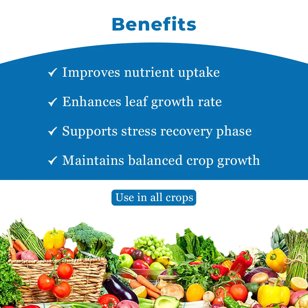 Nanozim Nxt (Plant Growth Promoter) | Buy Online