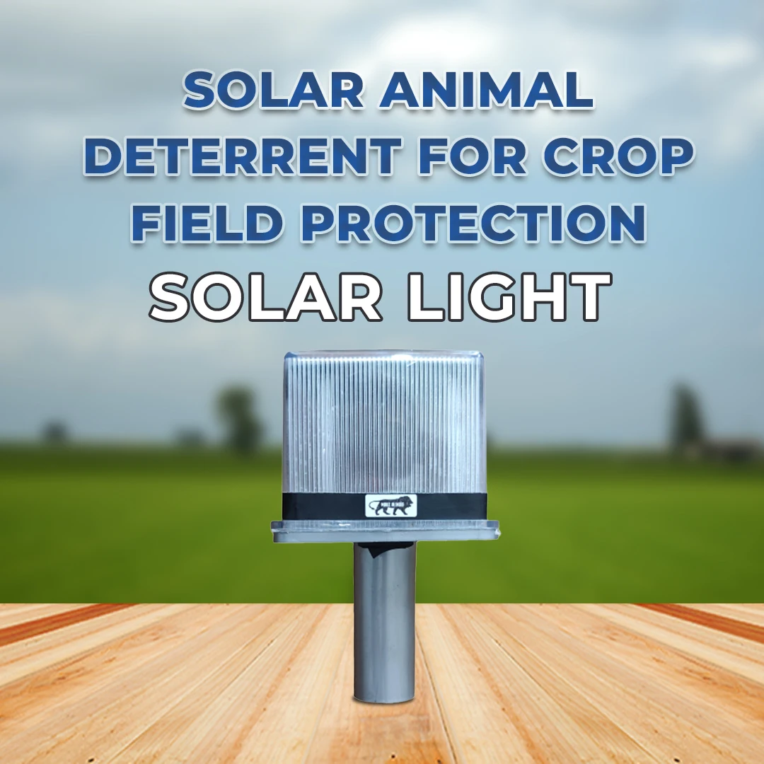 Solar Light For Farm | Buy Online