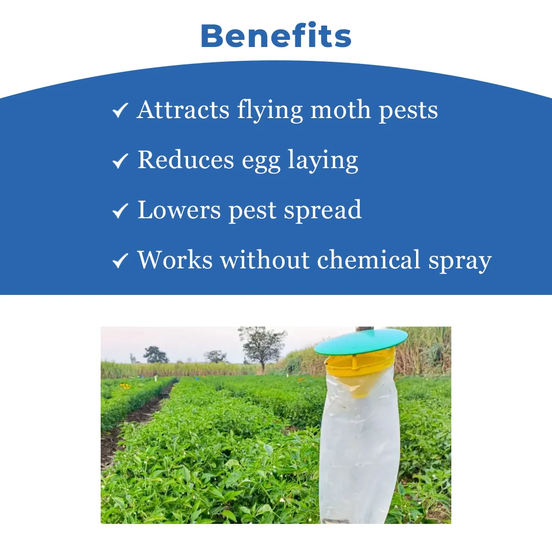 Buy Funnel Trap With Spodo O Lure Online | AgriBegri