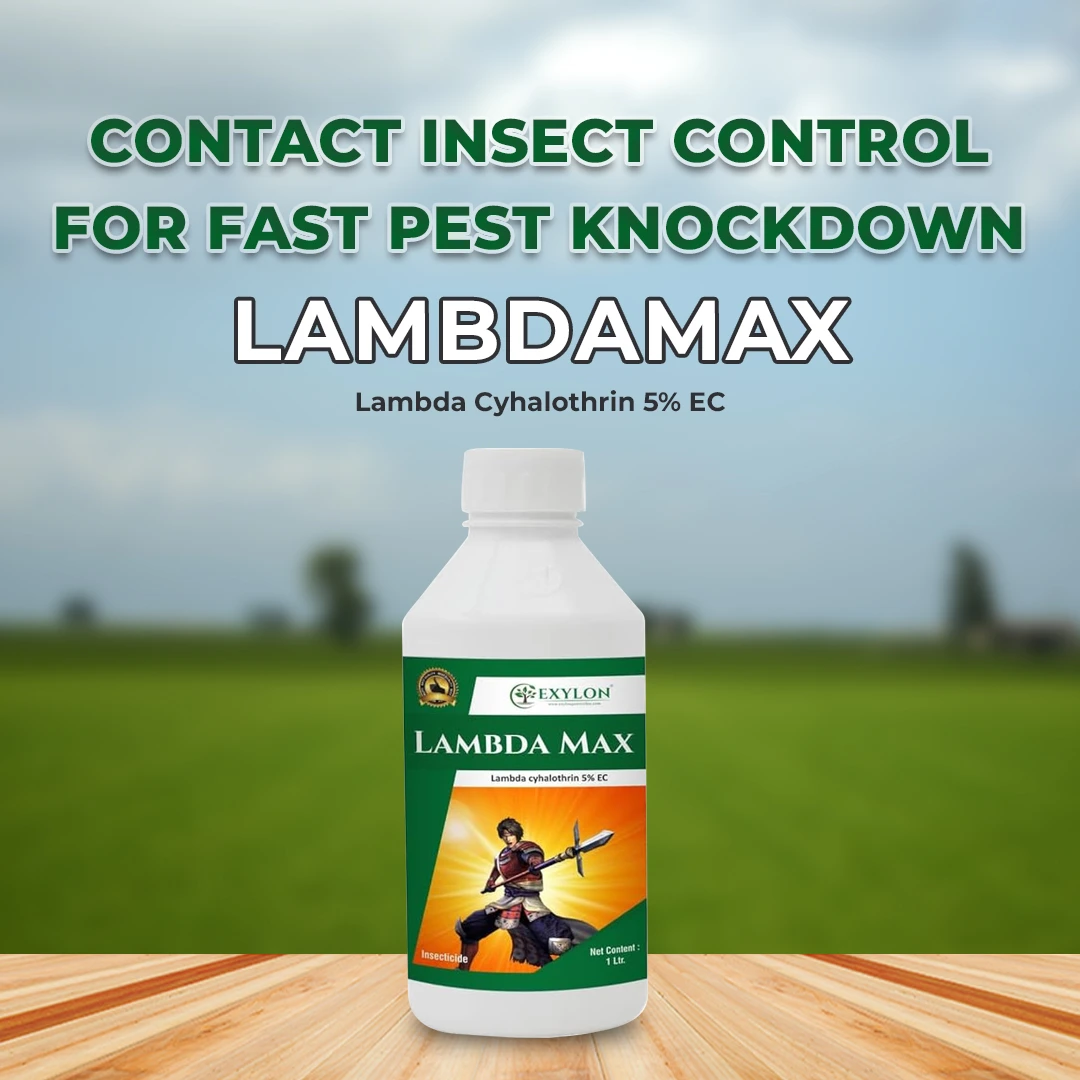 Exylon Lambda Max Insecticide | Buy Online