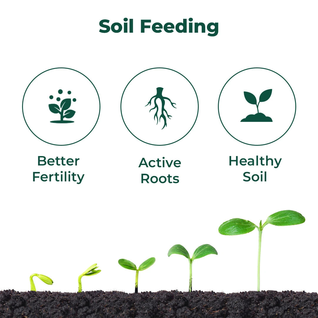 Green Revolution Jivanu NPK Consortia Bacteria Liquid Bio Fertilizer