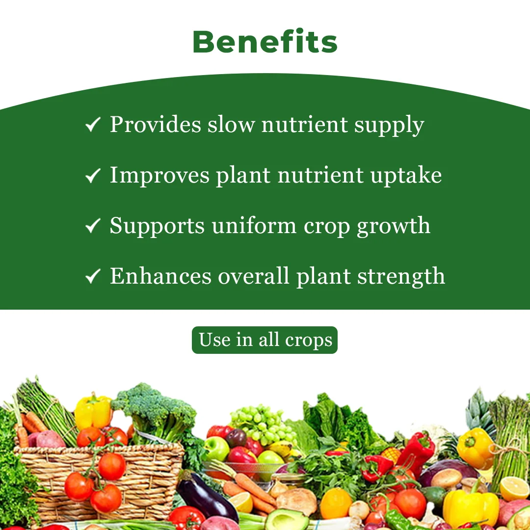Buy Nutrigold Liquid Fertilizer And Bio-Active Microbial Fertilizer ...