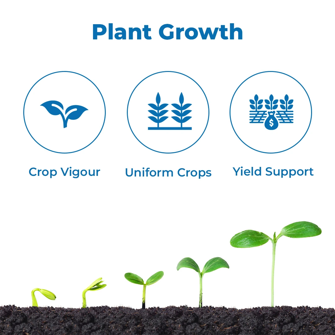 Nanozim Nxt (Plant Growth Promoter) | Buy Online