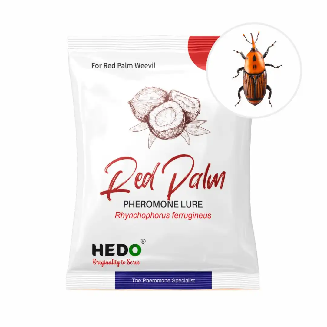 HEDO Red Palm Weevil Bucket Trap With Pheromone Lure
