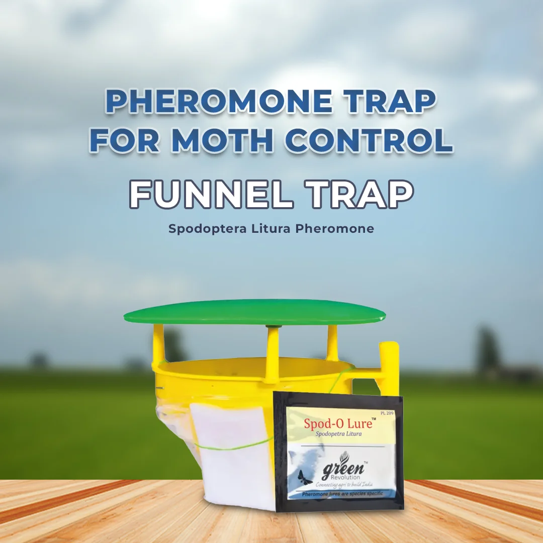 Buy Funnel Trap With Spodo O Lure Online | AgriBegri